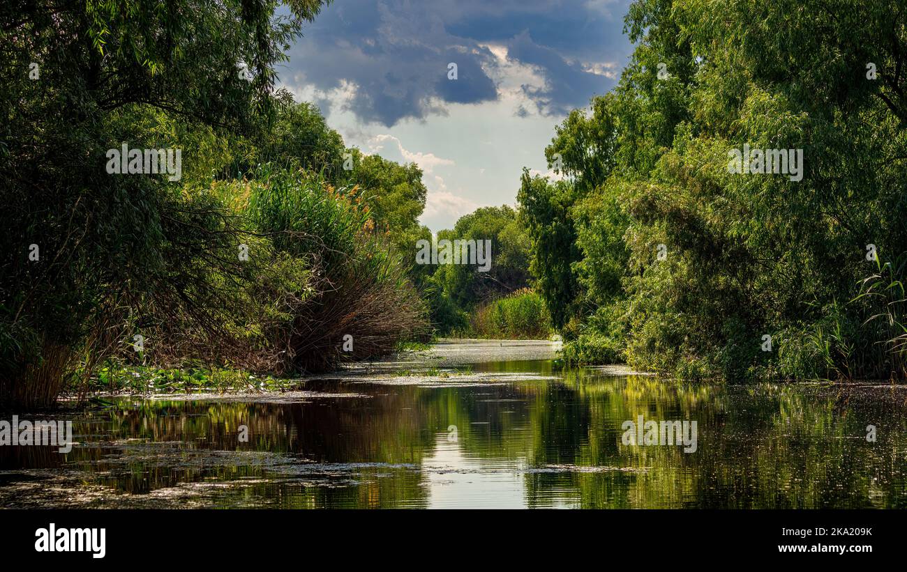 The swamps and wilderness of the Danube Delta in Romania Stock Photo ...