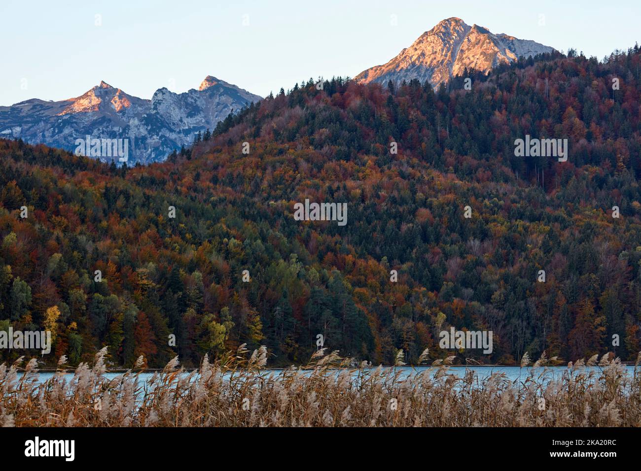 Fall colors in the Bavarian alps at Weissensee Stock Photo - Alamy