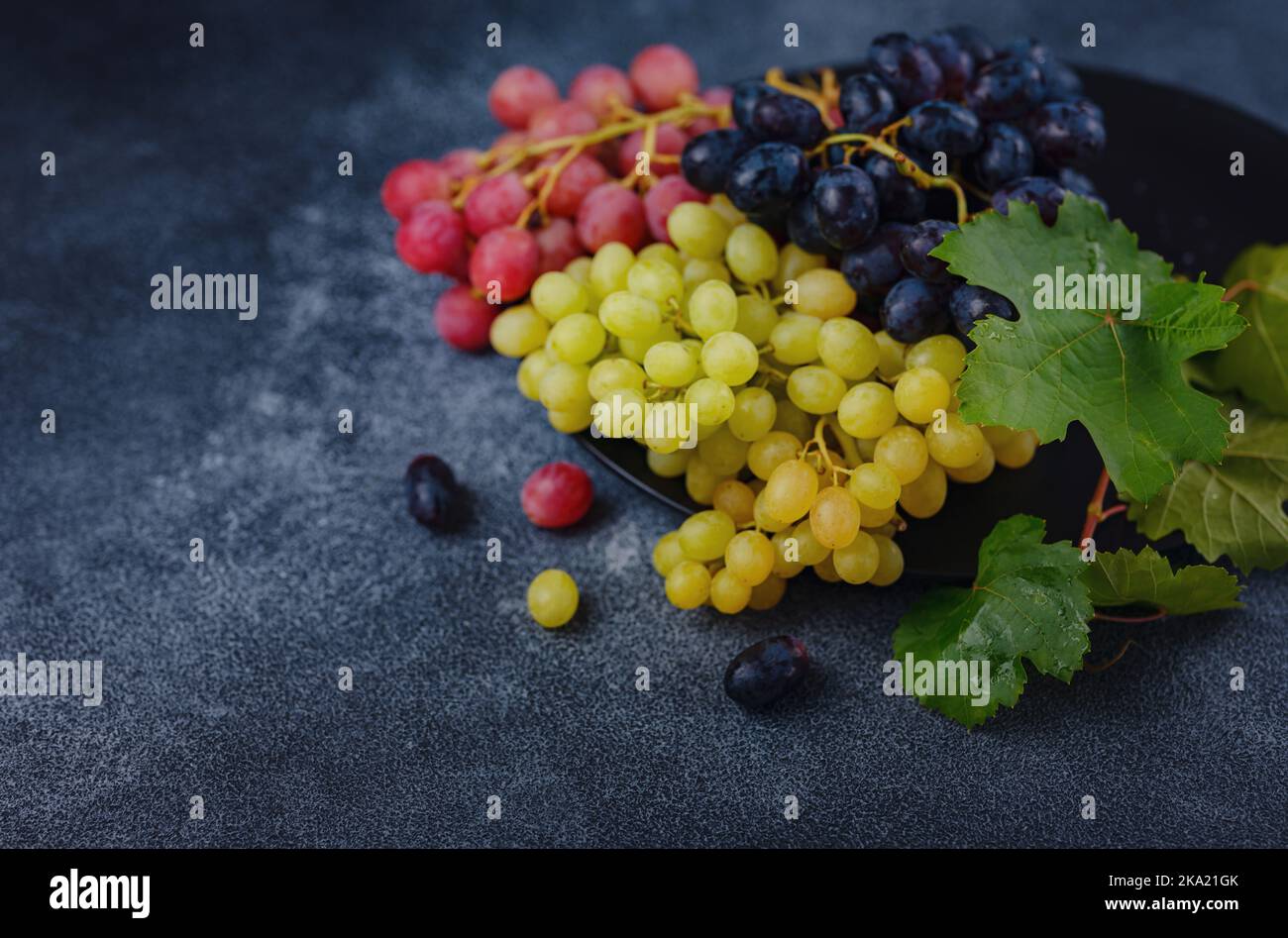 Vineyard Harvest in autumn season. Crop and juice, Organic blue, red ...