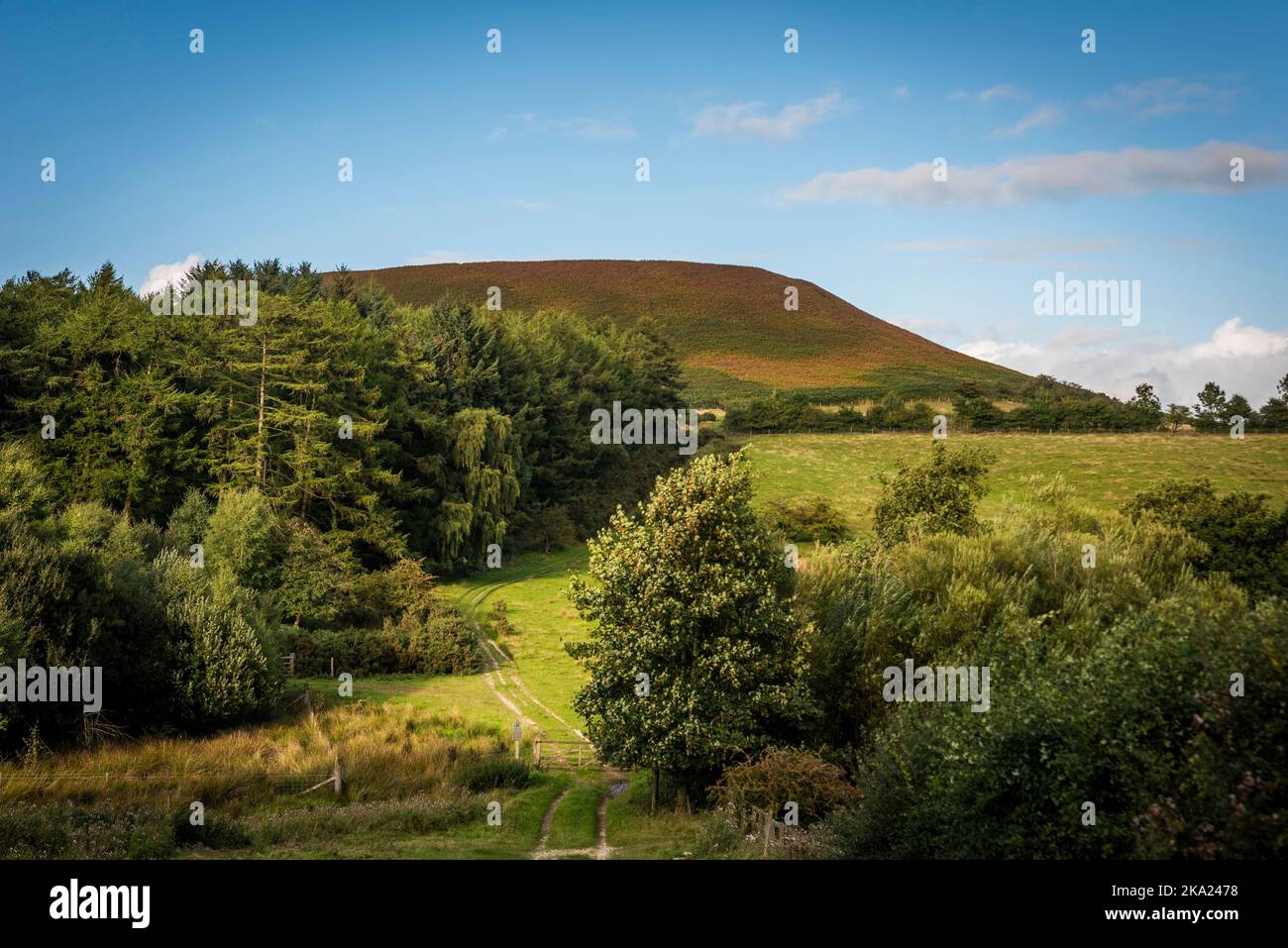 Blakey Topping natural hill near Pickering, East Yorkshire, UK Stock ...