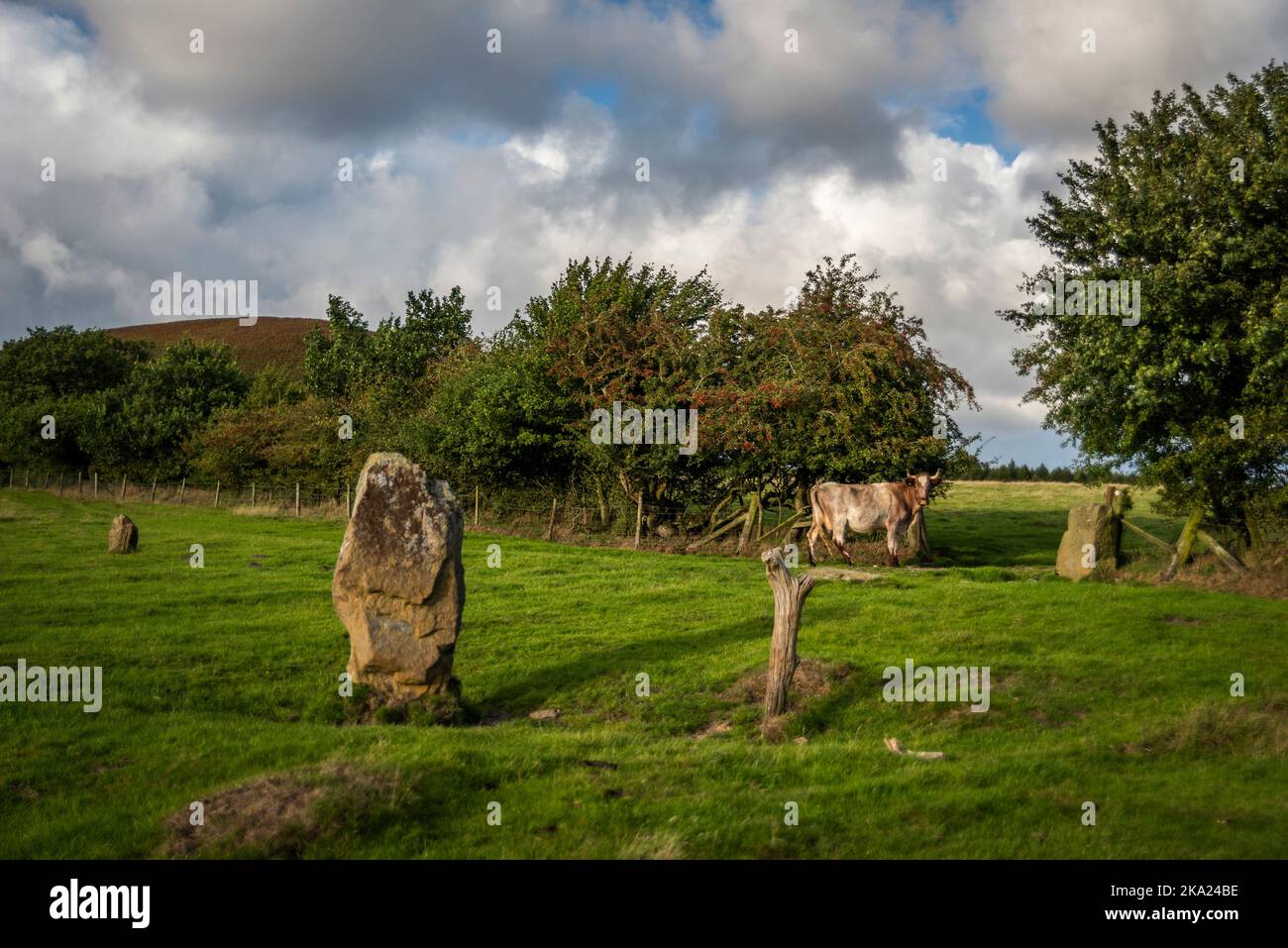 Blakey topping standing stones hi-res stock photography and images - Alamy