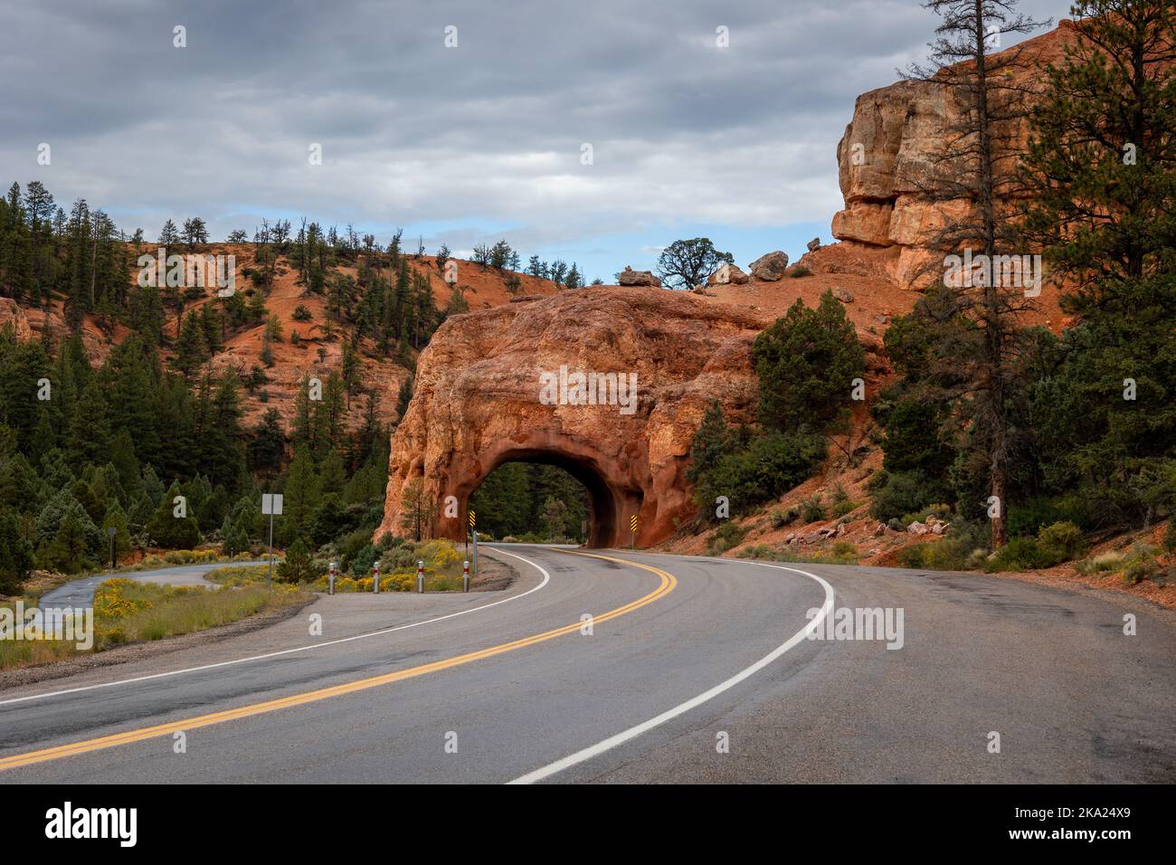 Dixie National Forest straddles the divide between the Great Basin and ...