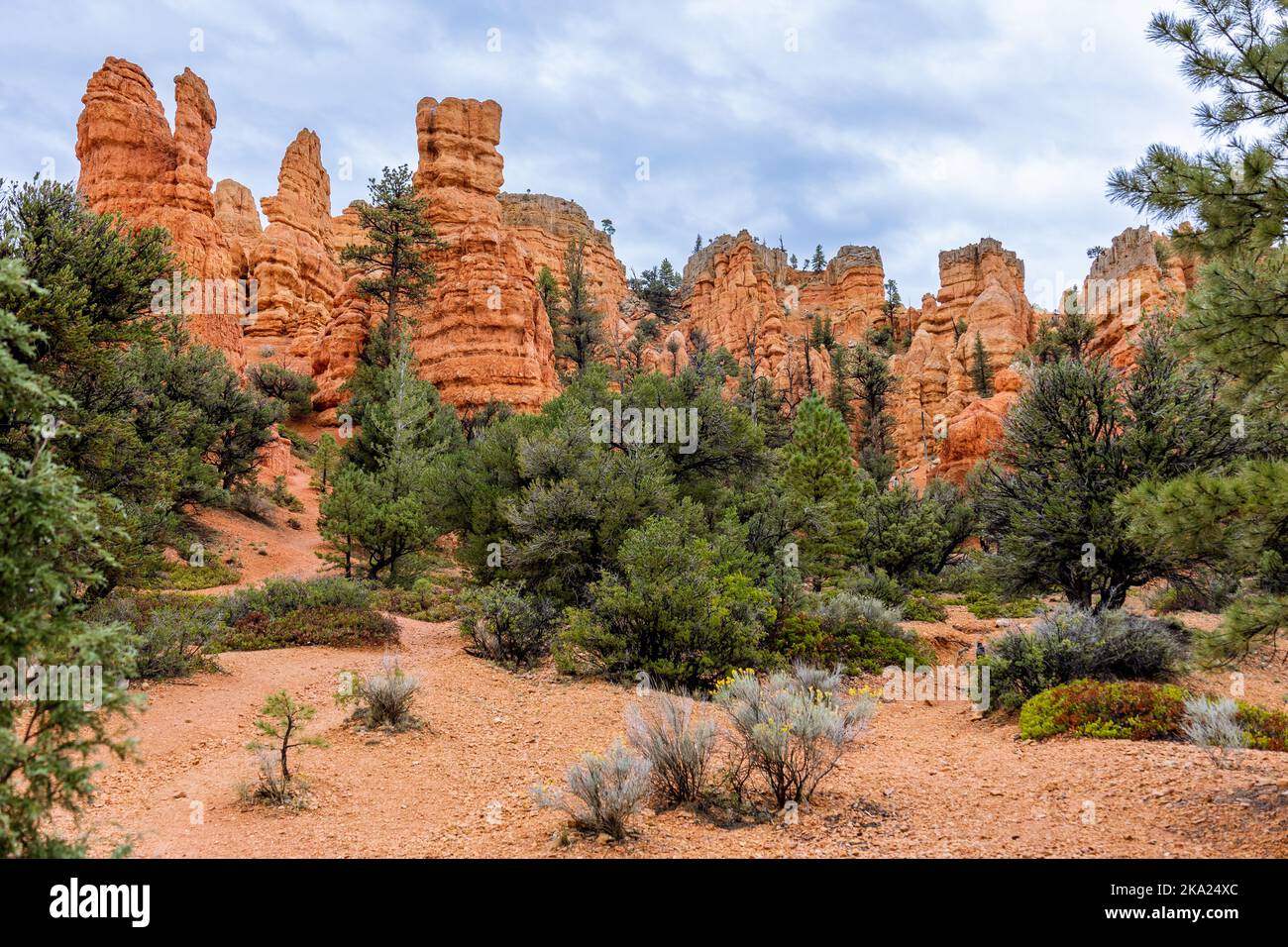 Red rocks in the Dixie National Forest, close to Bryce canyon Stock ...