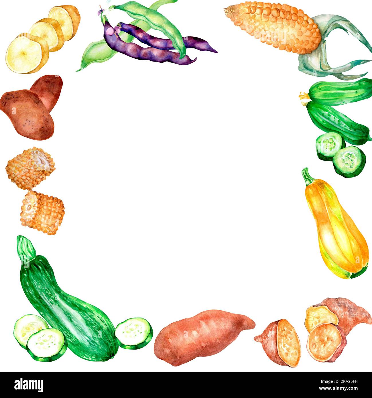 Variety of vegetables frame watercolor illustration isolated. Potatoes ...