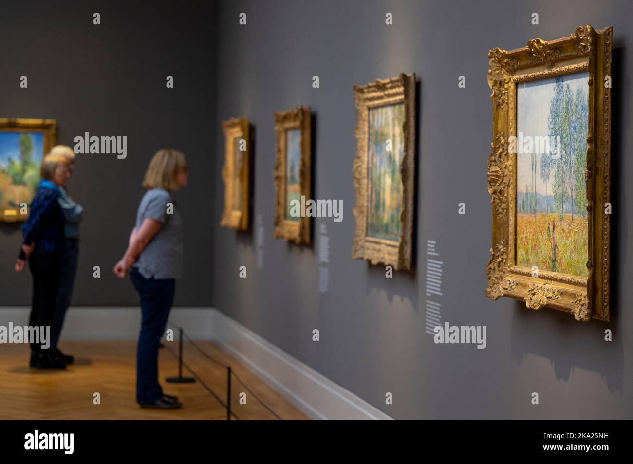 Climate activists mashed potato potsdam hi-res stock photography and ...