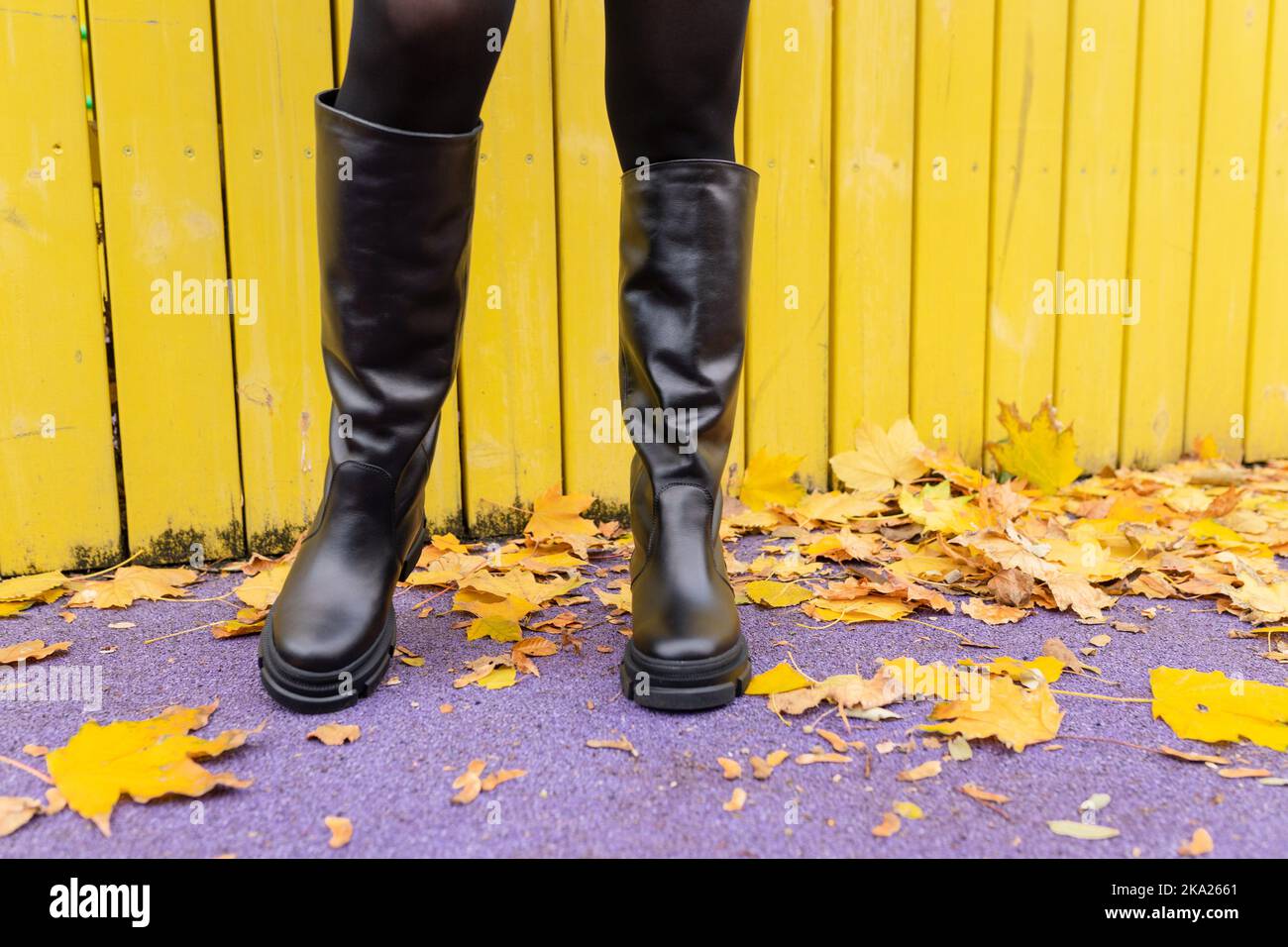 A girl in warm boots poses against a background of fallen foliage Stock ...