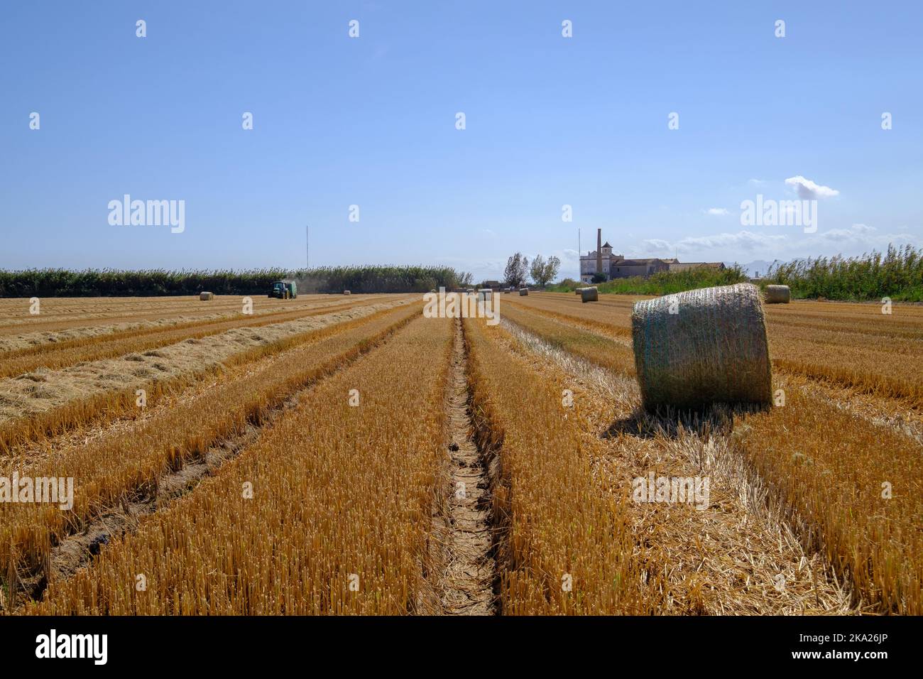 Round cylindrical farm agriculture hi-res stock photography and images ...