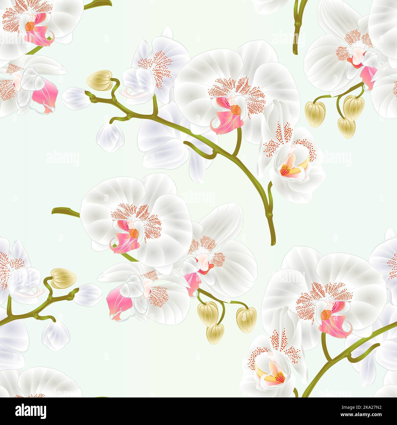 Seamless texture branches orchid Phalaenopsis white flowers tropical ...