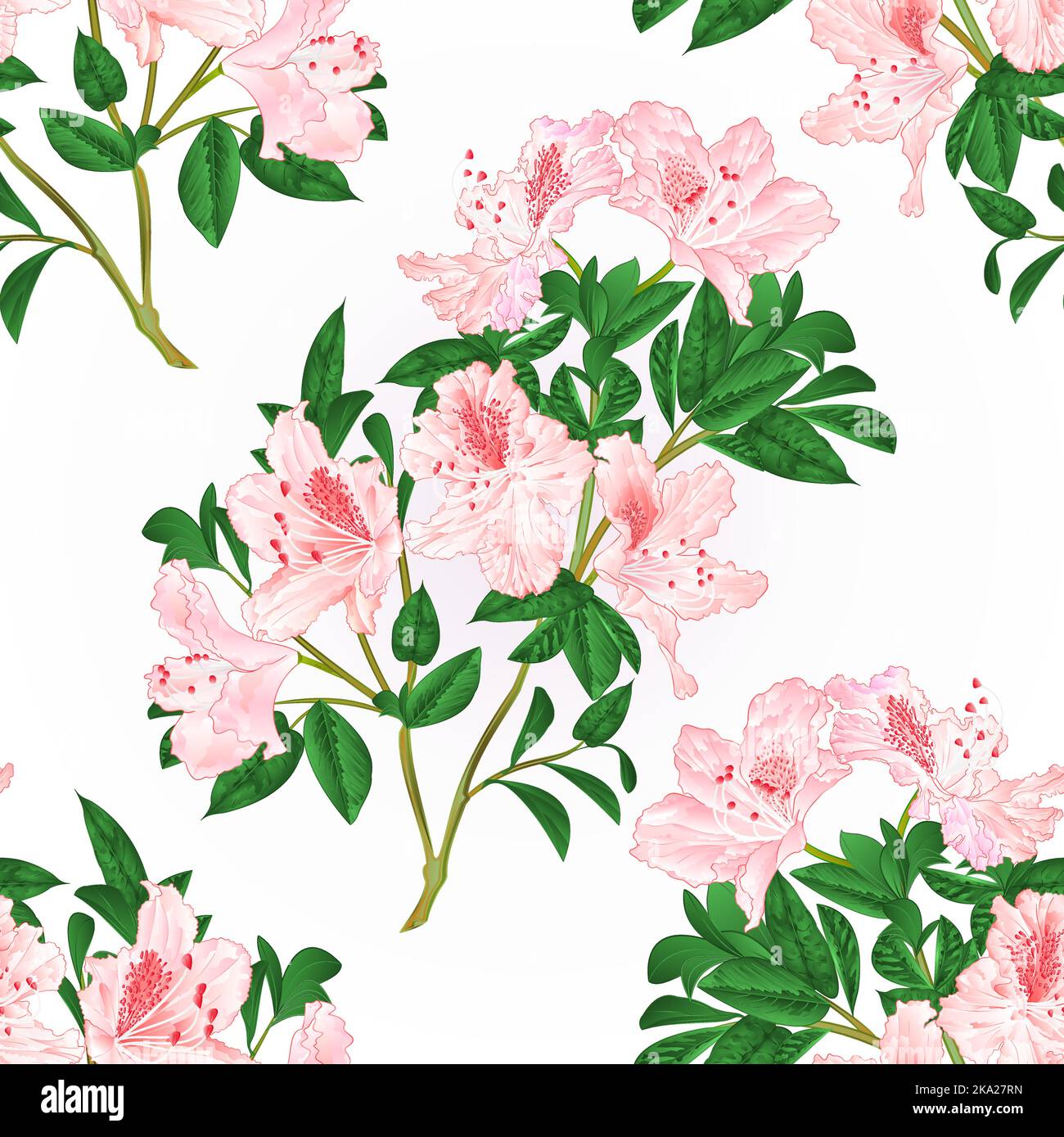 Seamless texture light pink rhododendron twig with flowers and leaves ...