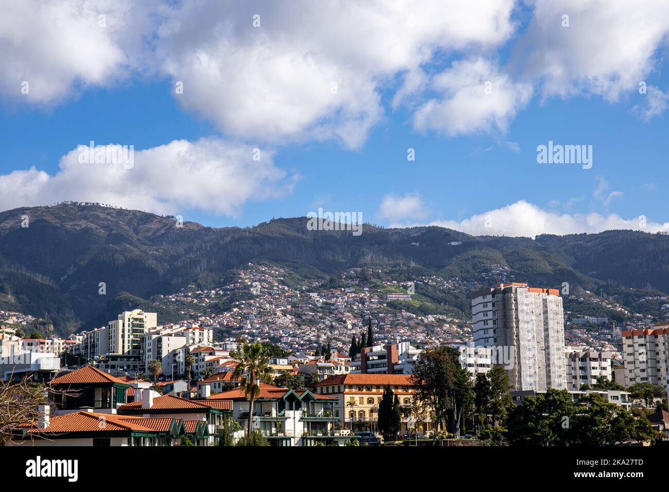 Funchal capital city on Madeira island Stock Photo - Alamy