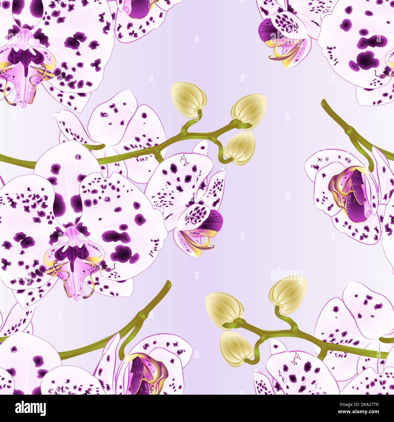 Seamless Texture Branch Orchids Flowers Dots Purple And White