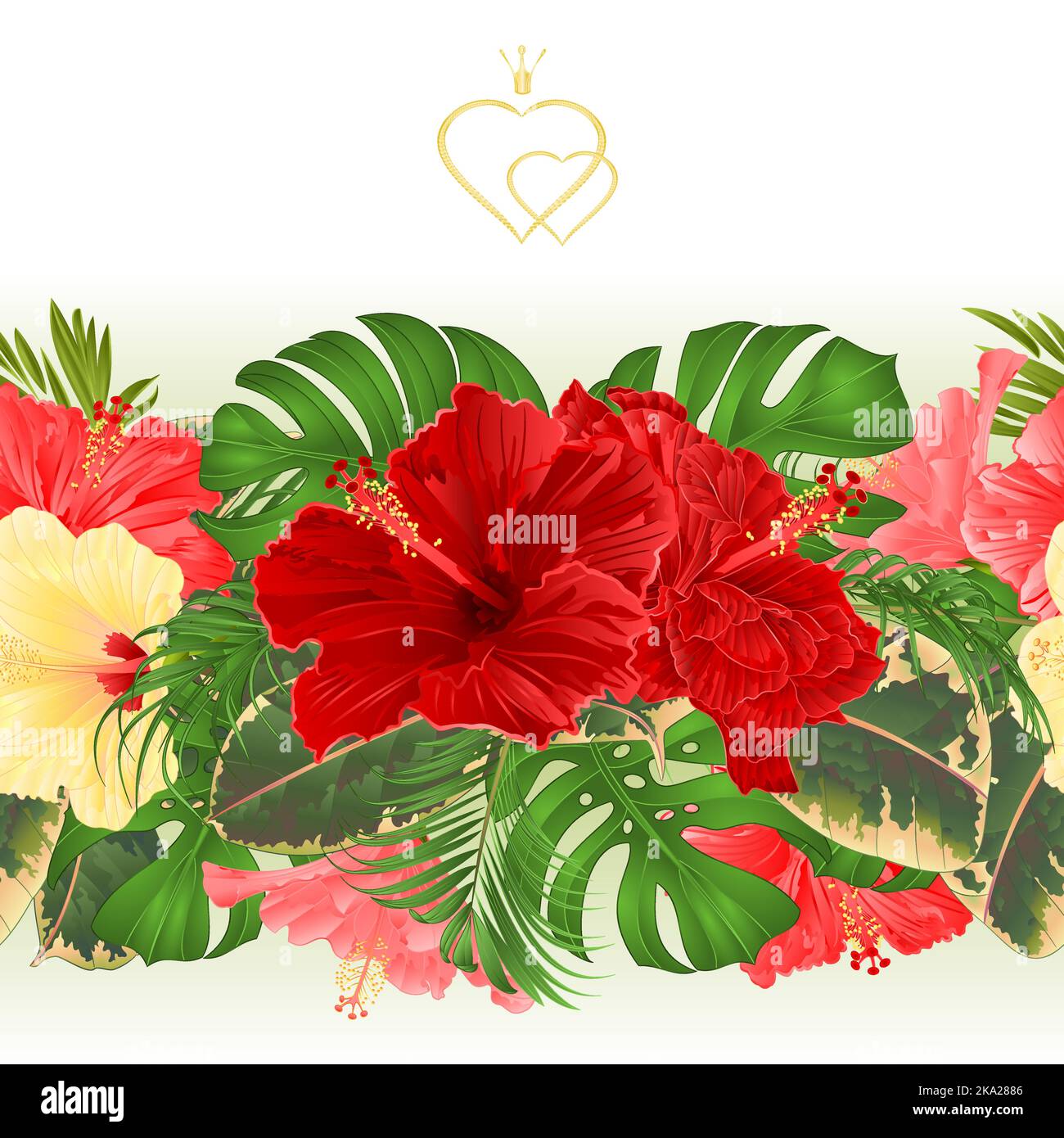 Floral border seamless background with blooming various hibiscus and ...