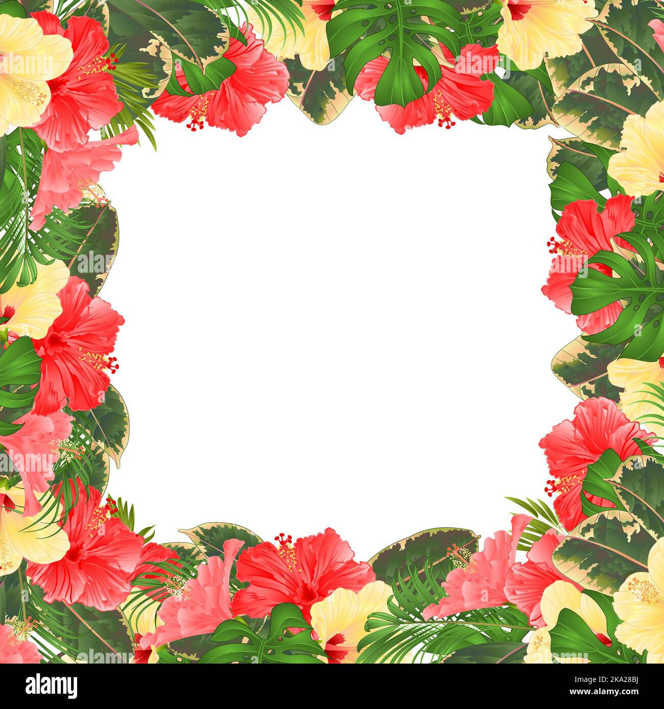 Floral border with blooming various hibiscus and tropical leaves vector ...