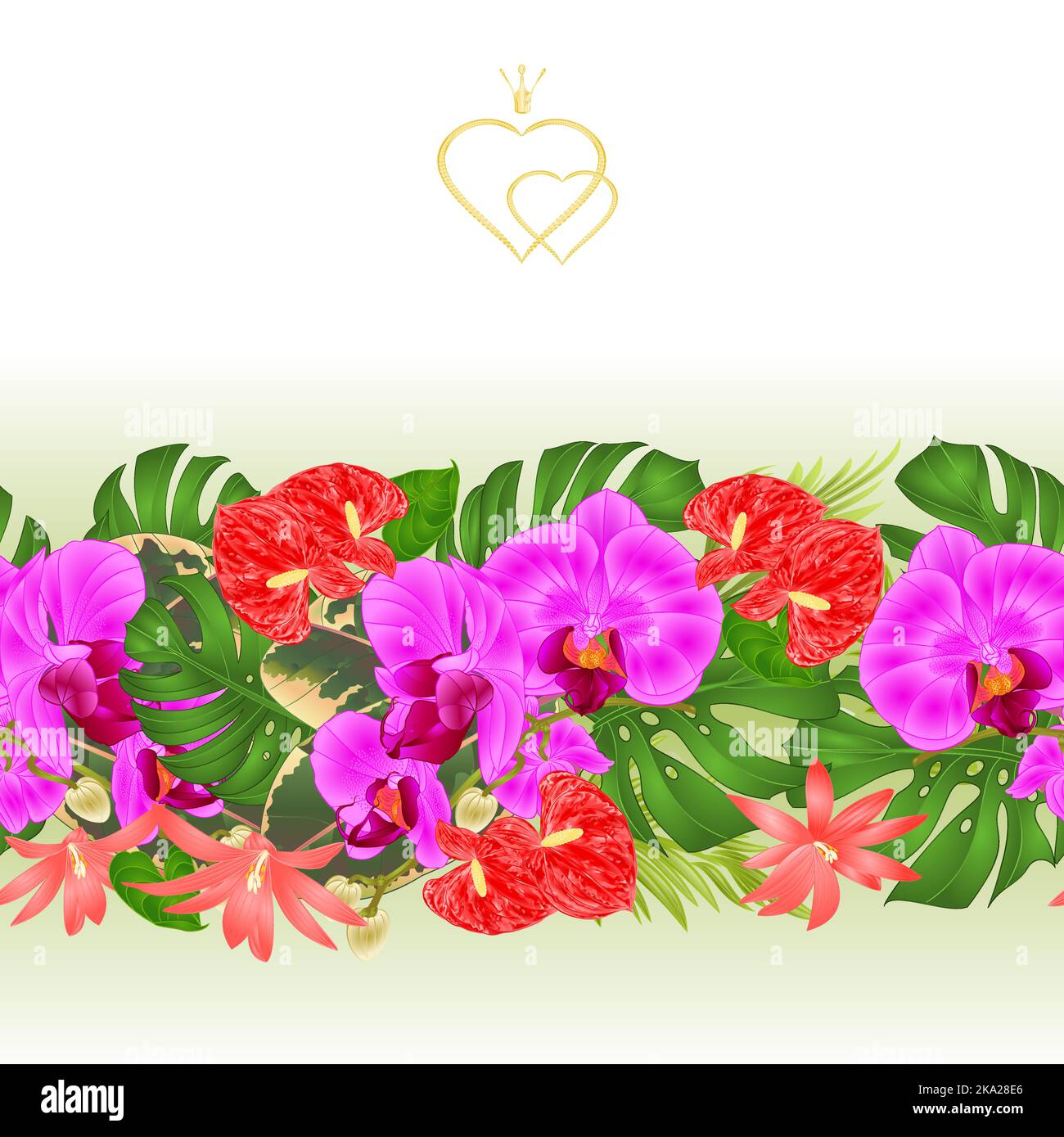 Floral border seamless background bouquet with tropical flowers ...