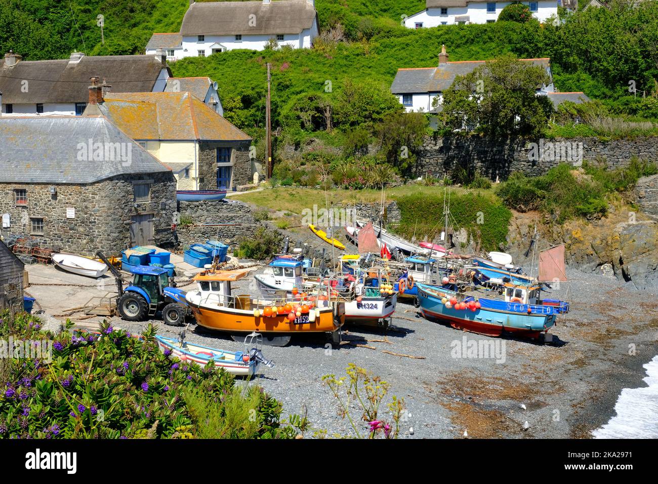 Fishing boats hauled up on the beach at Cadgwith, Cornwall, UK - John ...