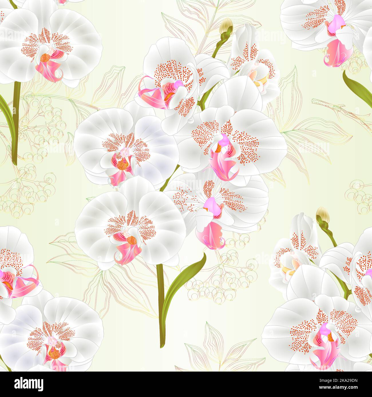 Seamless Texture Branch Orchid Phalaenopsis White Flowers And Leaves