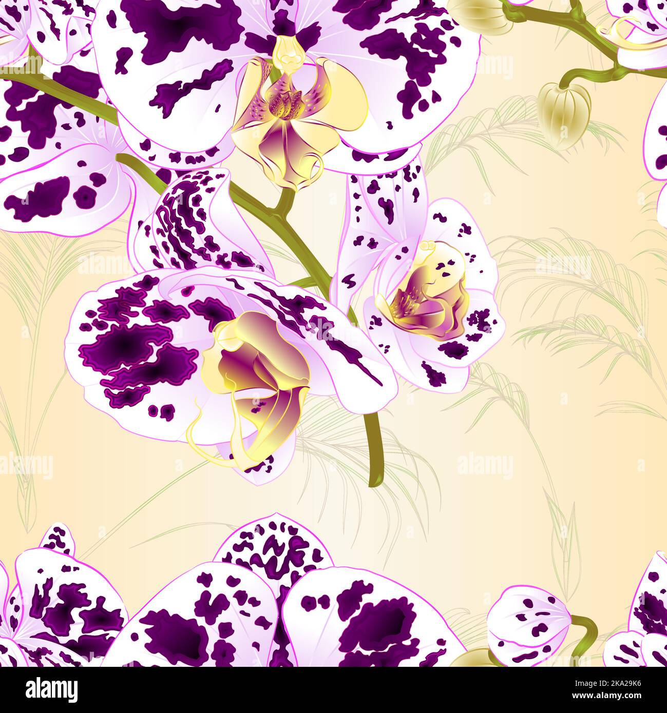 Seamless Texture Branch Orchids Spotted Purple And White Flowers