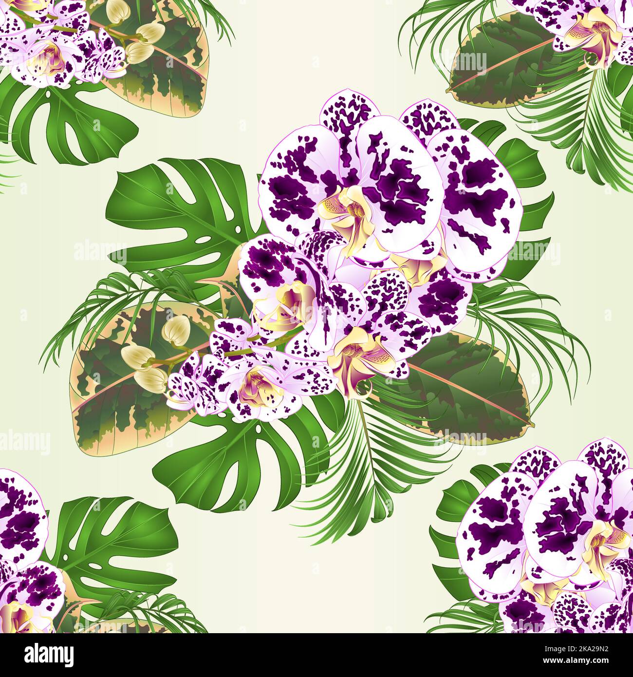 Seamless Texture Bouquet With Tropical Flowers Orchid Spotted