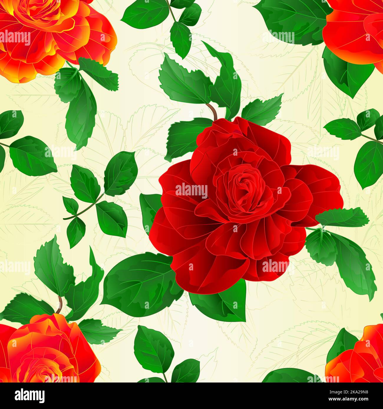 Seamless texture stem flower red and orange roses and leaves vintage vector illustration ...