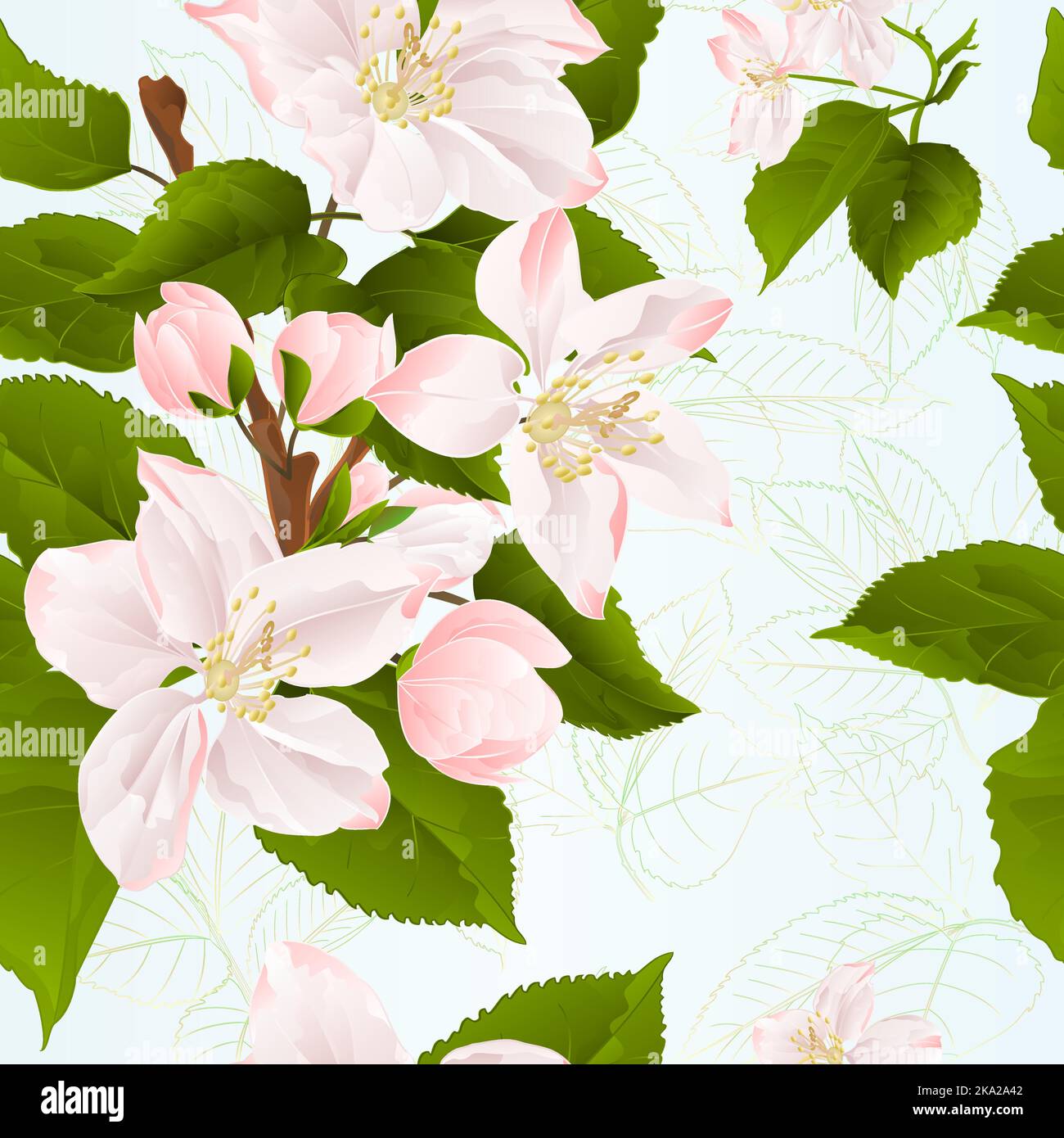 Seamless texture apple tree branch with flowers and buds spring ...