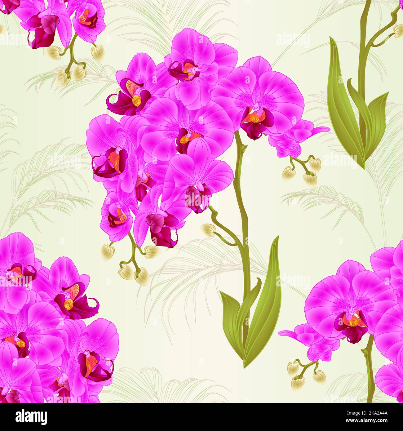 Seamless Texture Branches Orchid Phalaenopsis Purple Flowers And Leaves