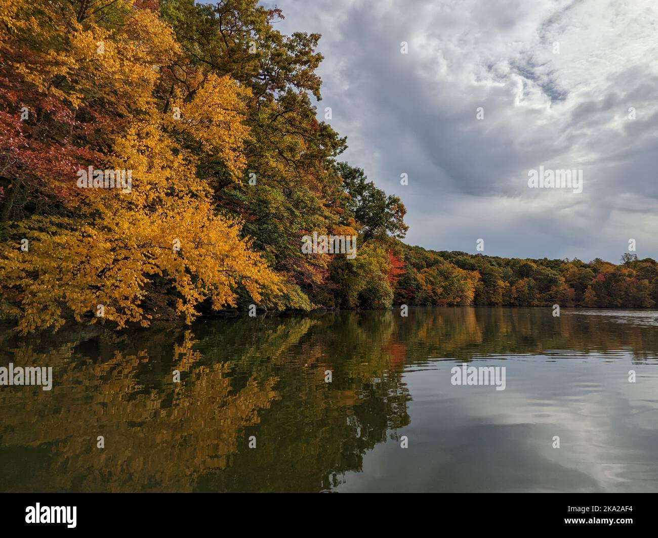 Beautiful view of the colorful trees near the lake during Autumn Stock ...