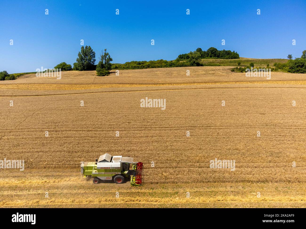 A Claas combine harvesting wheat in the field Stock Photo - Alamy