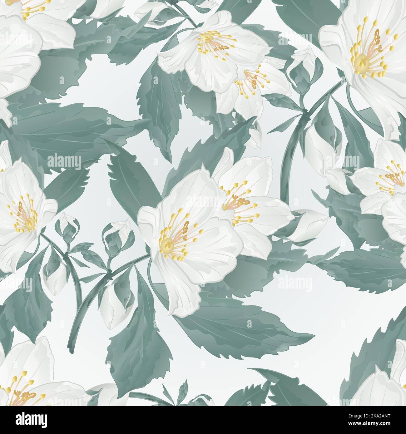 Seamless texture twig jasmine flower and buds spring flower vintage ...