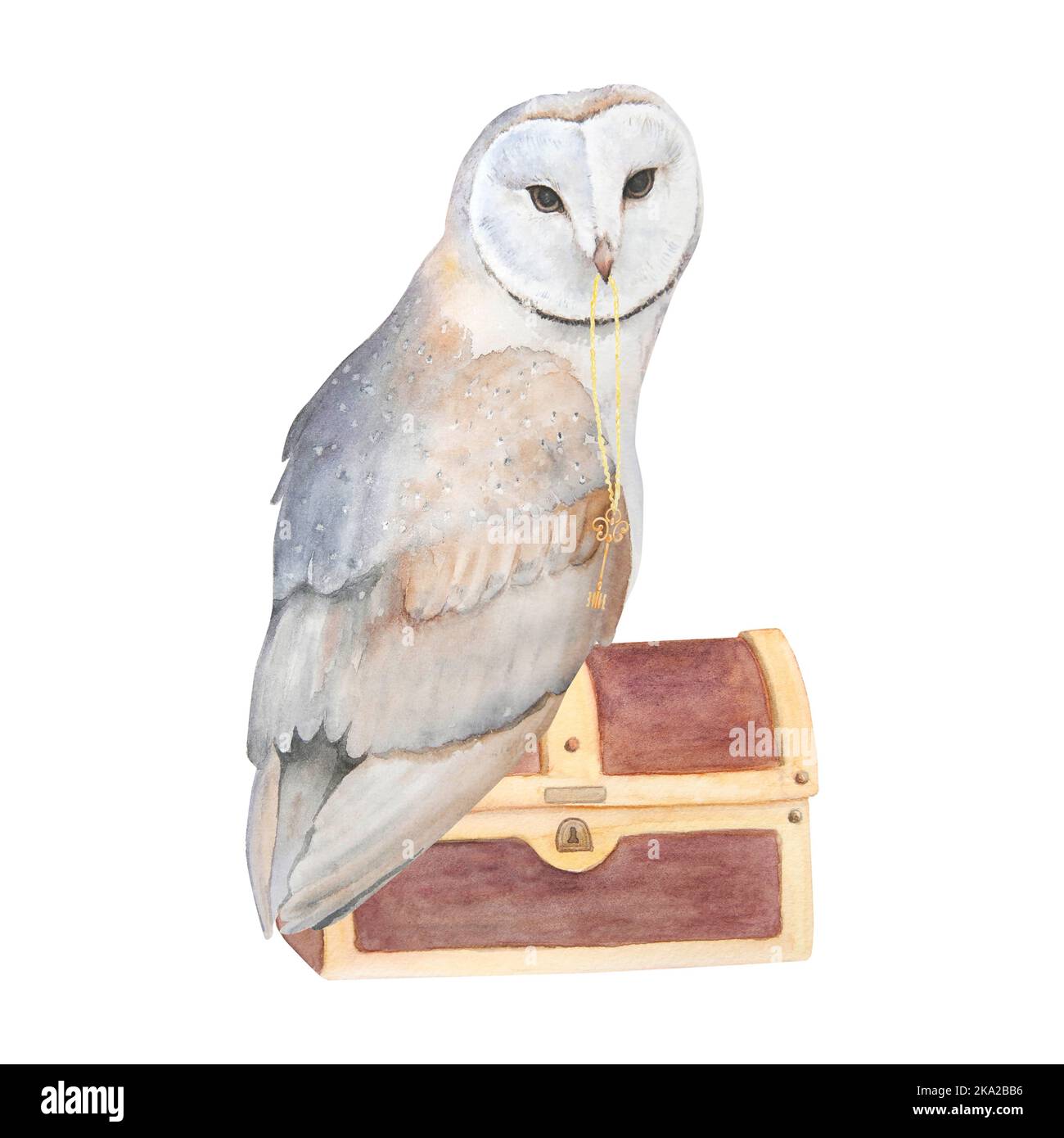 Watercolor illustration of owl with key on chest isolated Stock Photo ...