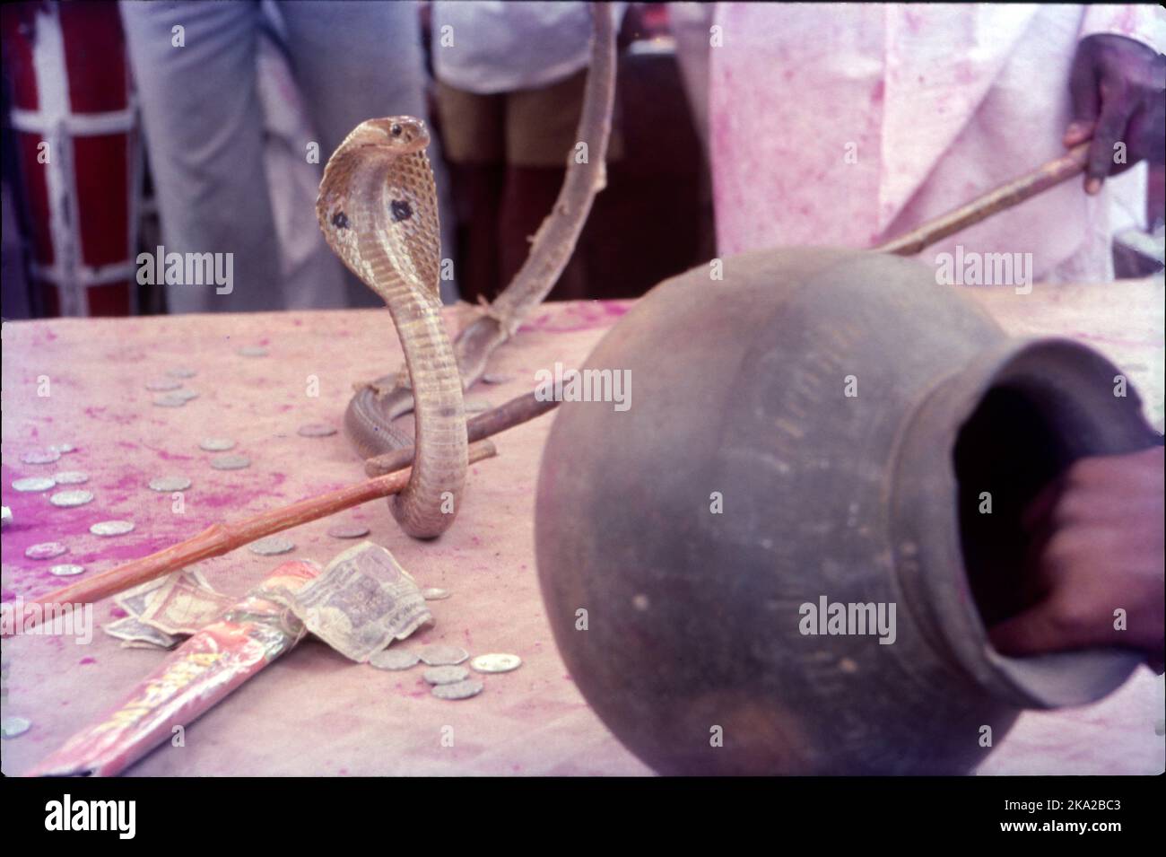 Nag Panchami Festival At Battis Shirala Village:- Shirala Village is in ...