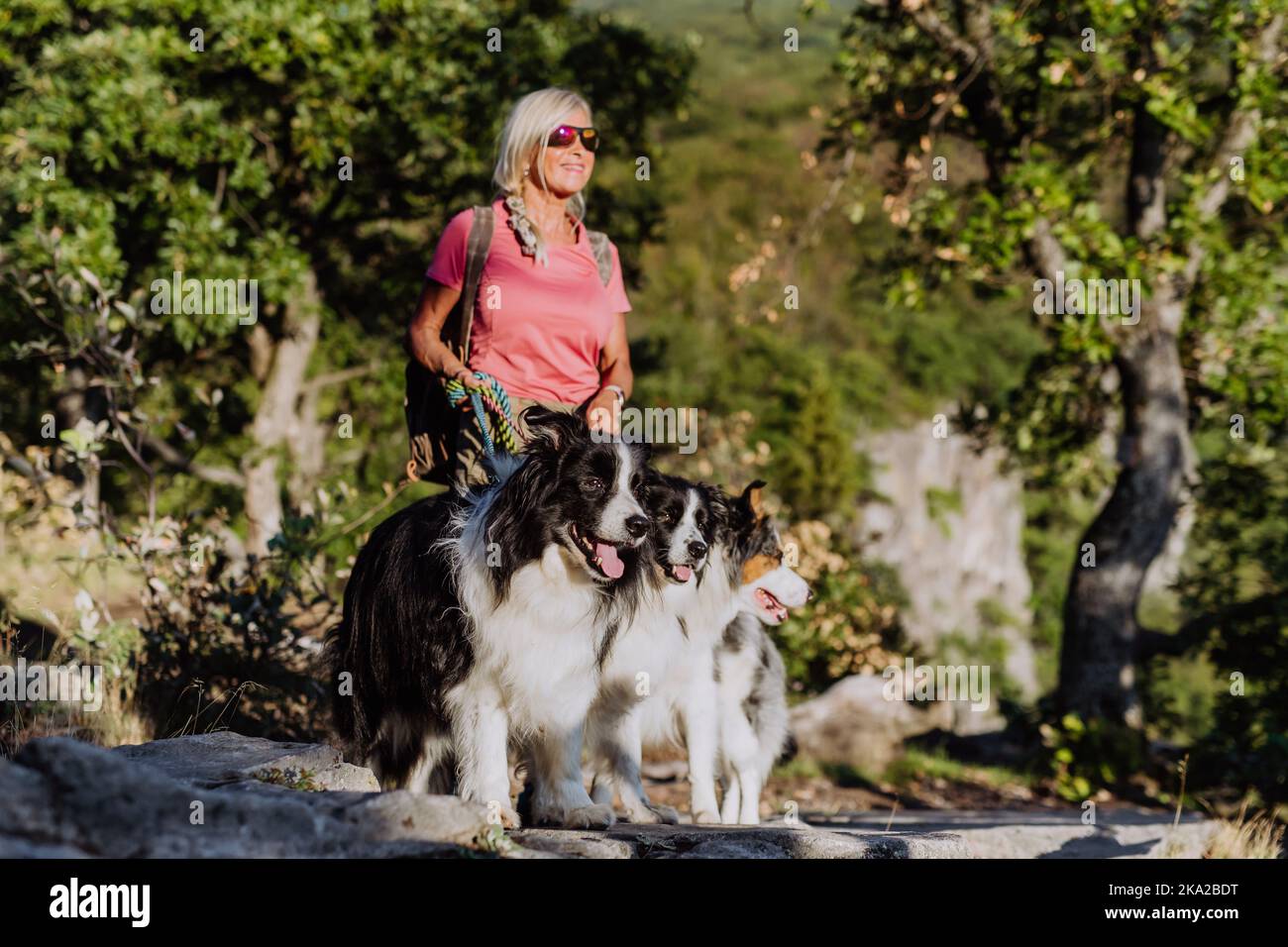 Senior woman walking with her three dogs in forest Stock Photo - Alamy