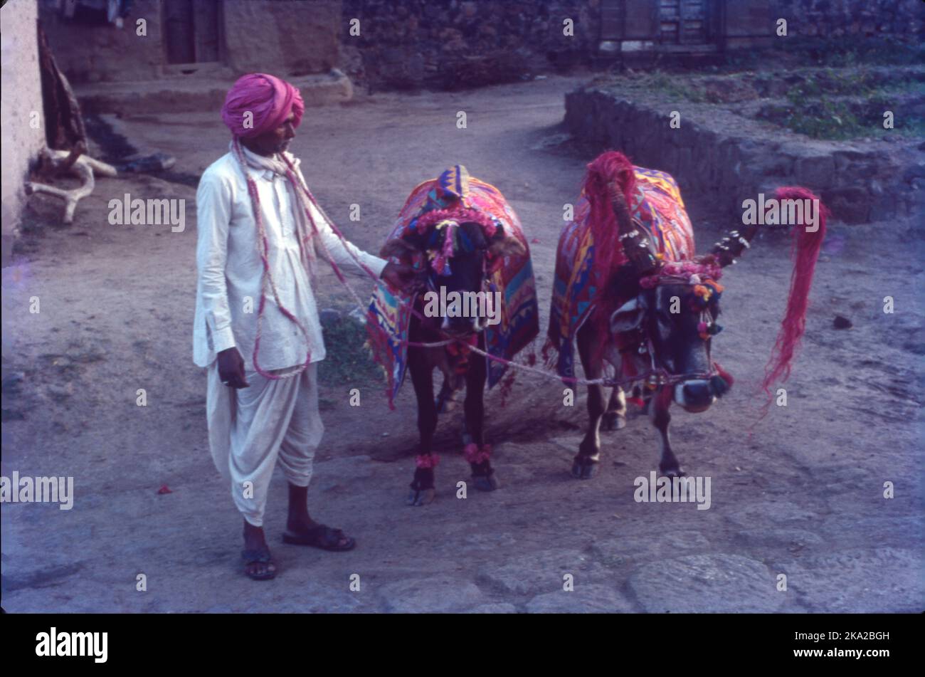 Bail pola hi-res stock photography and images - Alamy