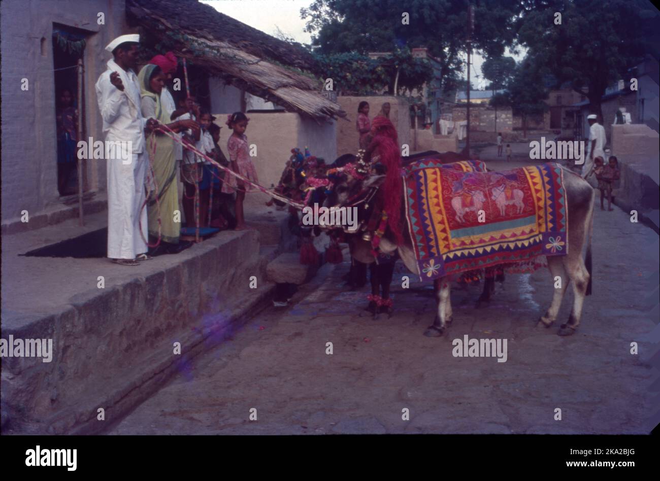 Bail Pola is a thanksgiving festival celebrated by farmers in ...