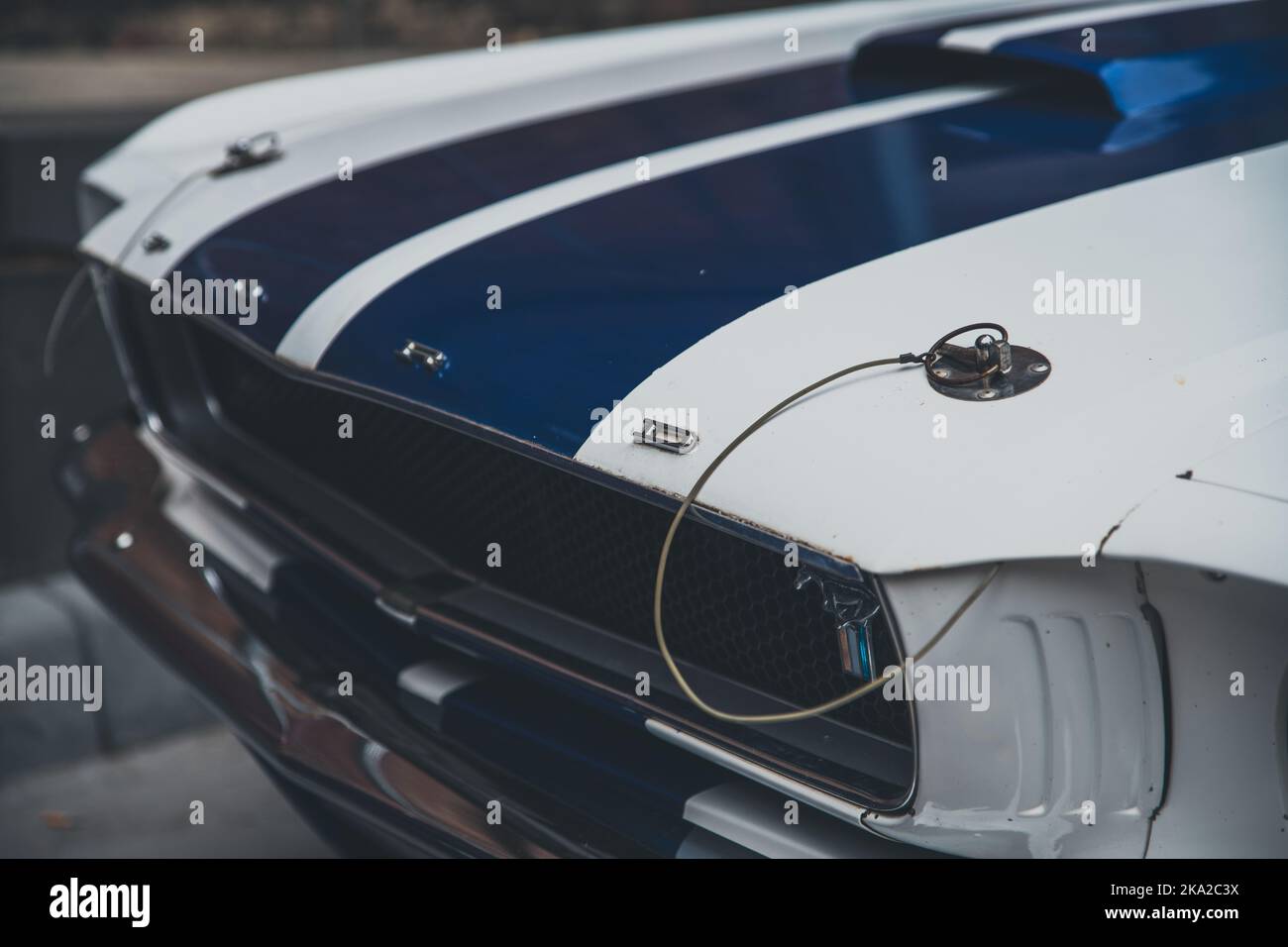 Side view shelby mustang car hi-res stock photography and images - Alamy