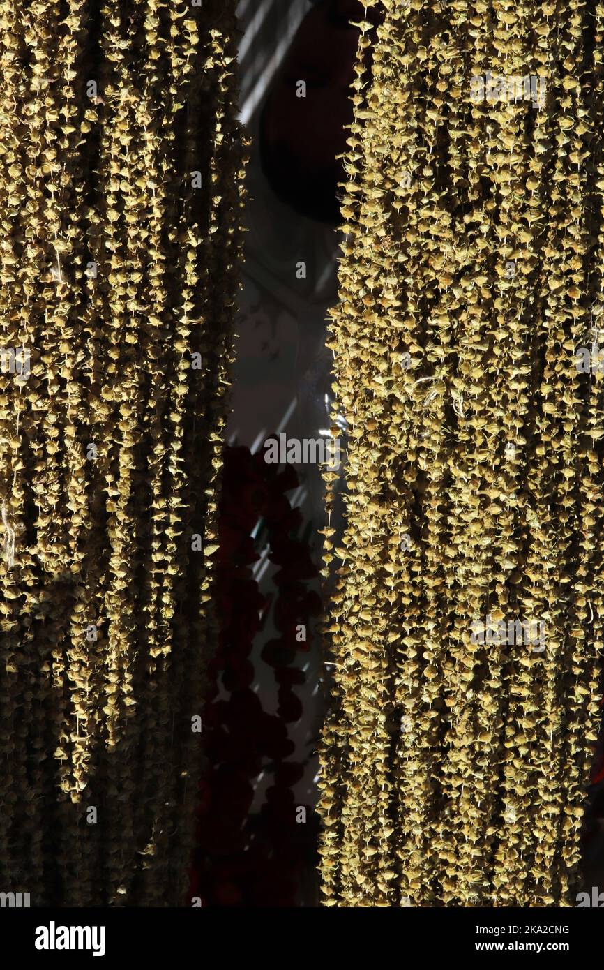 dried okras hanging on a string Stock Photo - Alamy
