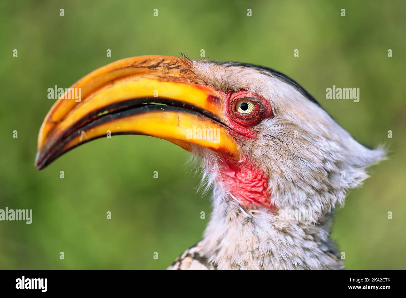 Yellowcard Southern Air