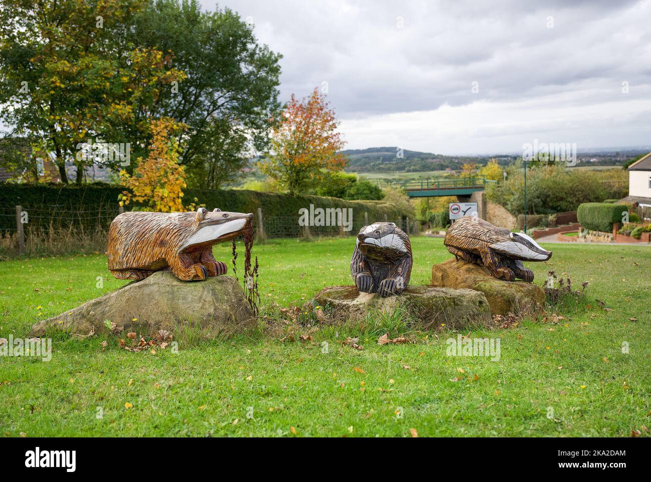 One of several sets of badger sculptures installed in Brotton in May ...