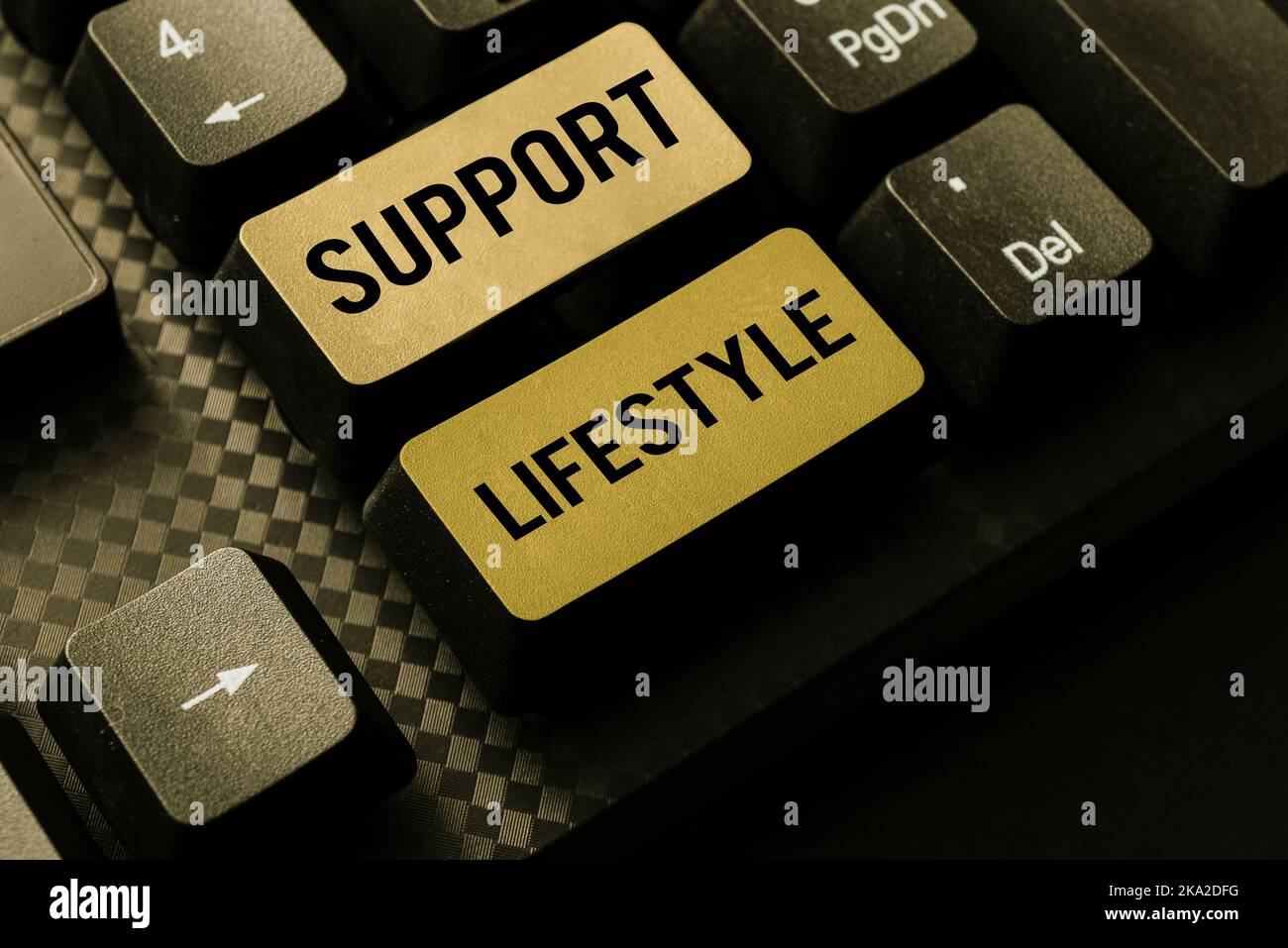 Inspiration showing sign Support Lifestyle. Word Written on habits that ...