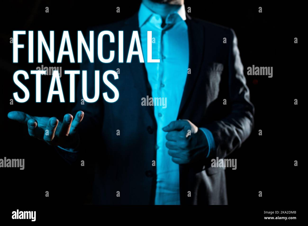 Inspiration showing sign Financial Status. Business overview system for ...