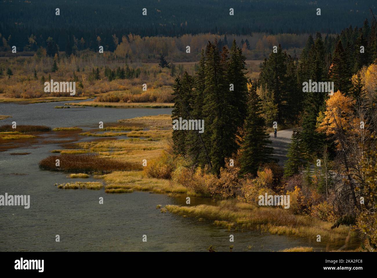 A beautiful nature landscape at the Banff national park Stock Photo - Alamy
