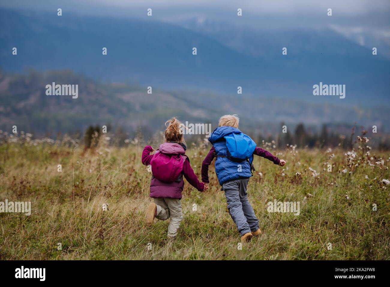 Rear view of little children runing at autumn meadow Stock Photo - Alamy