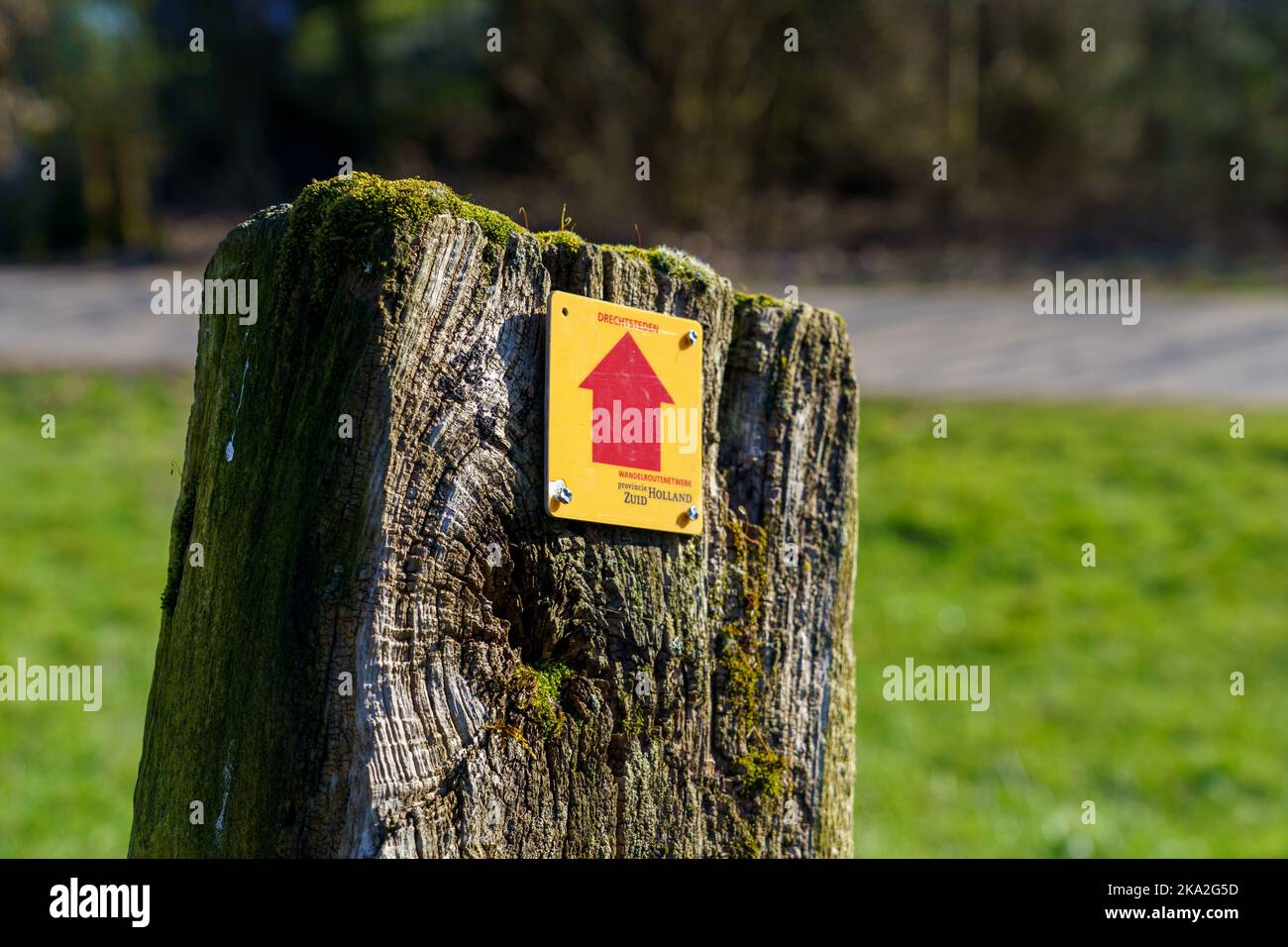 A yellow rectangular-shaped sign with a red arrow pointing up Stock ...