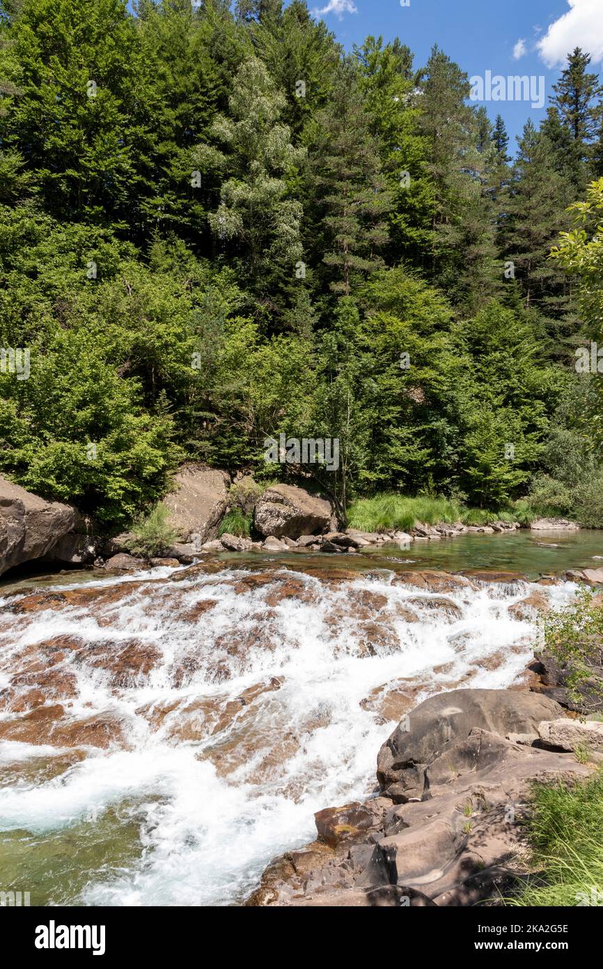 A stormy mountain river in the forest Stock Photo - Alamy