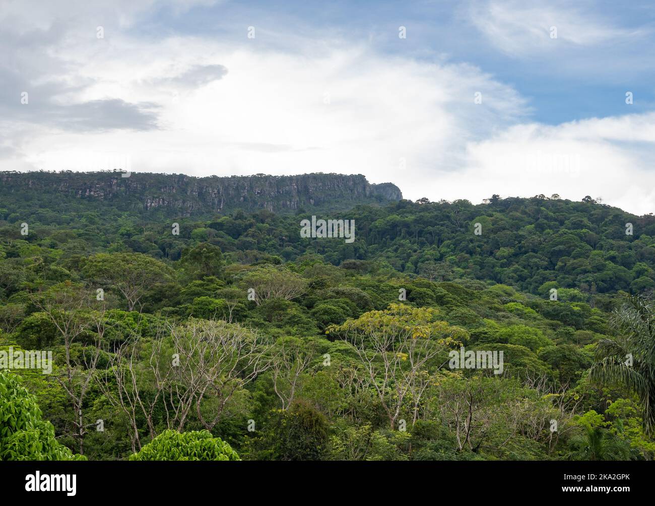 Flat top mountains of Tepui stand out above dense tropical forest ...