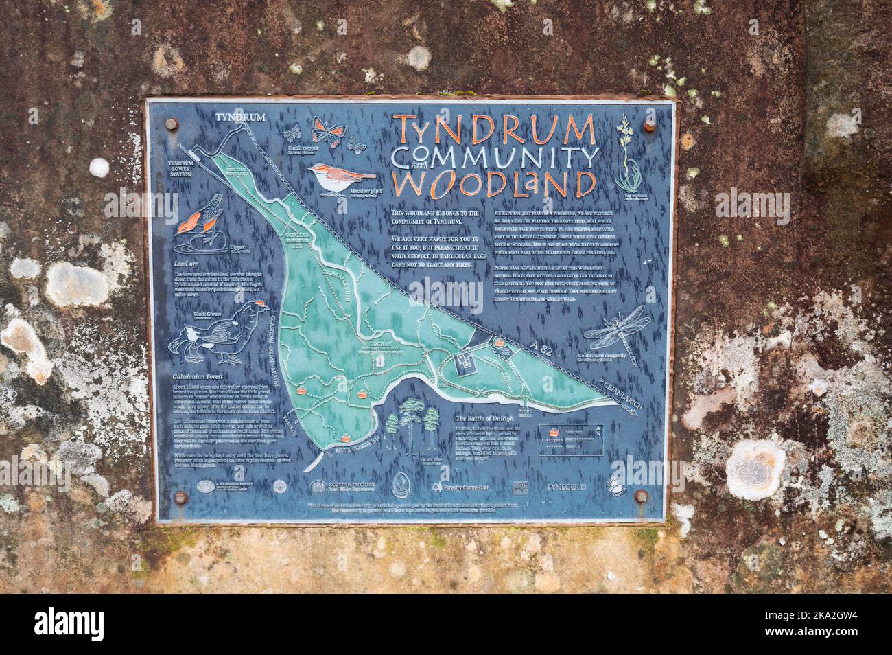 Sign for Tyndrum Community Woodland with map and explanatory text. On ...