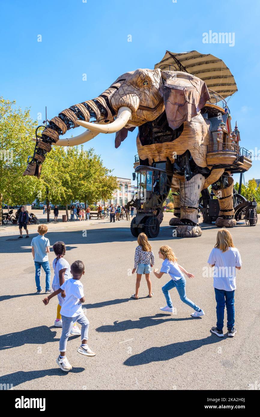 The Great Elephant giant puppet, part of the Machines of the Isle of ...