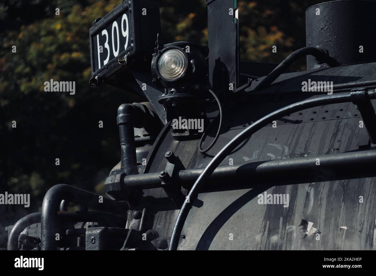 Black forest train hi-res stock photography and images - Alamy
