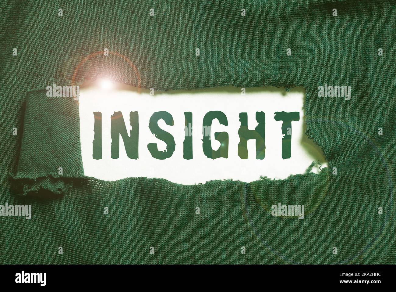 Writing displaying text Insight. Business overview capacity to gain an ...