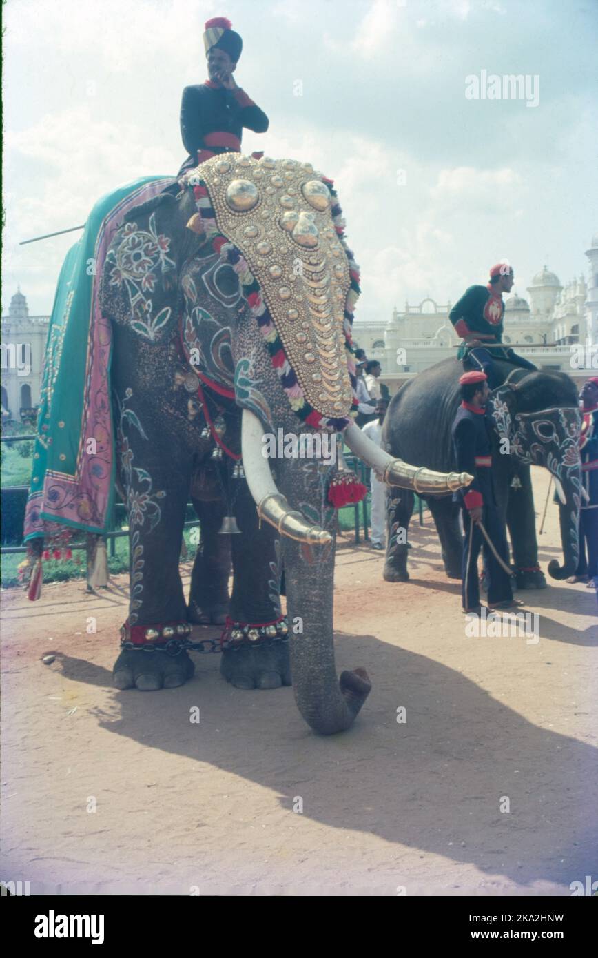Mysore dasara elephant hi-res stock photography and images - Alamy
