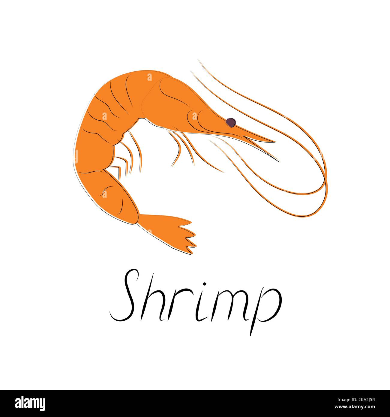 Shrimp prawn illustration and hand-written inscription. Vector logo ...